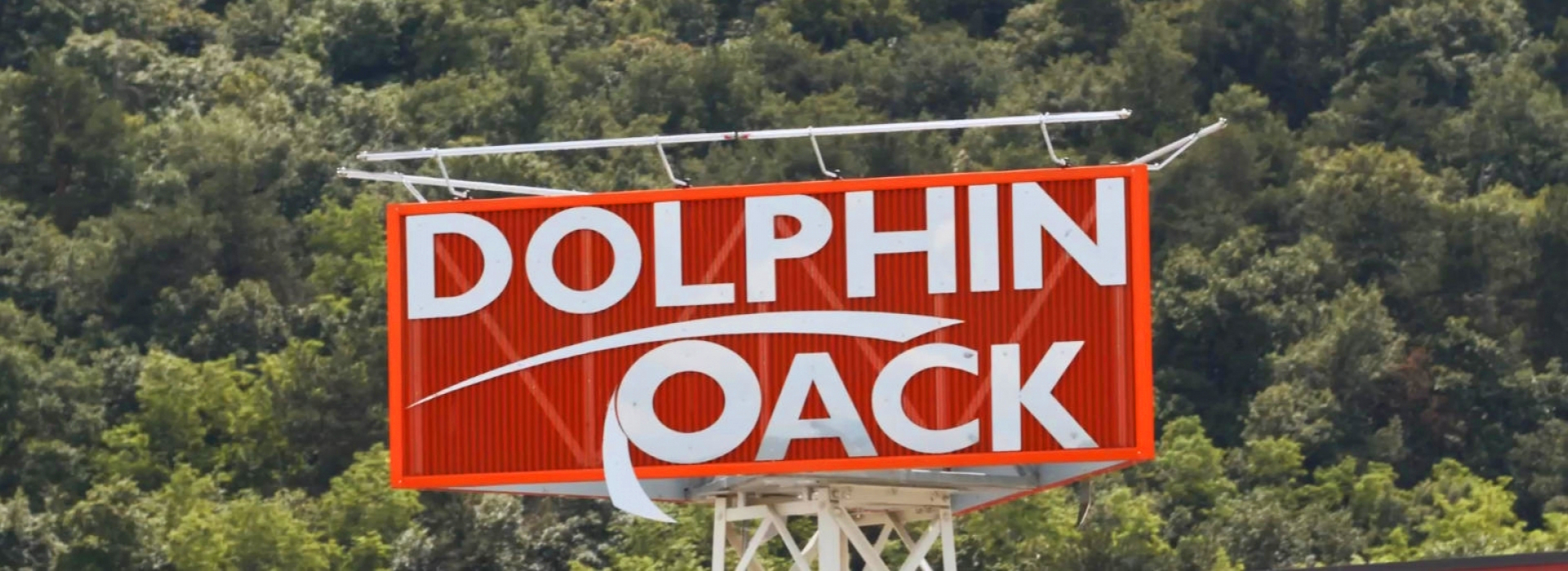 Dolphin Pack Green NEWS | Conócenos | Dolphin Pack S.r.l.